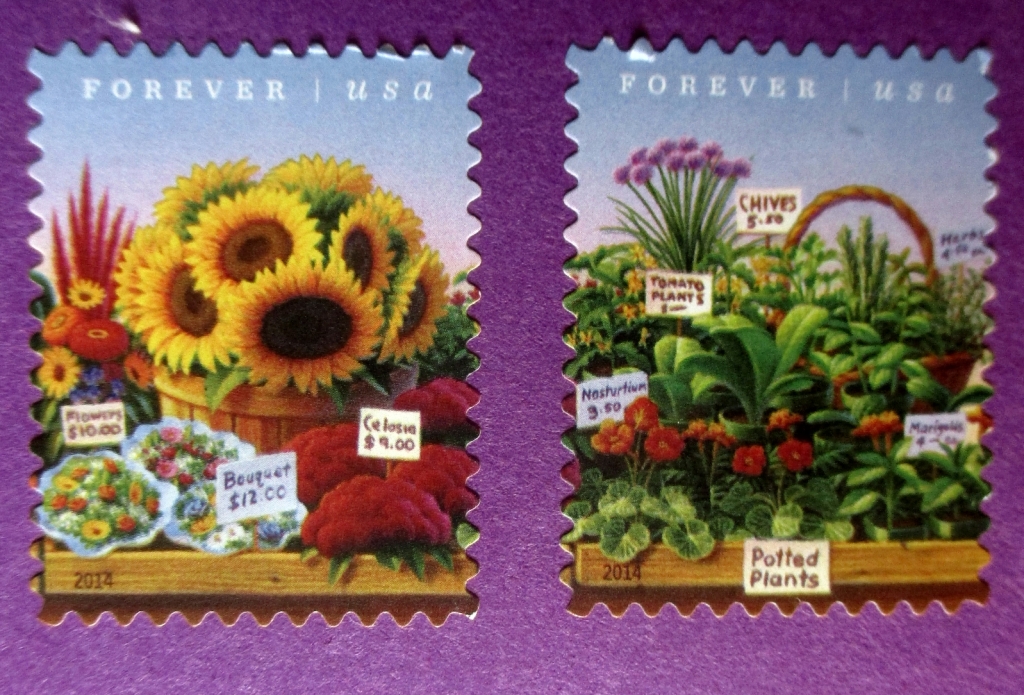 Mail Adventures: Violet Mail