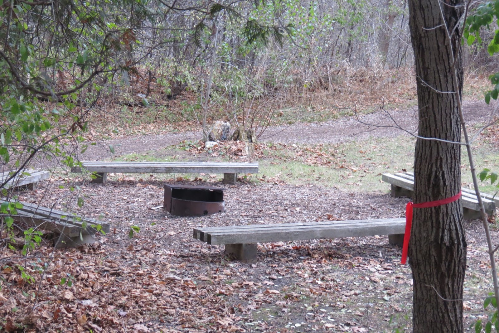 Adventures in PEI and Beyond!: Forest Valley - A Toronto District ...