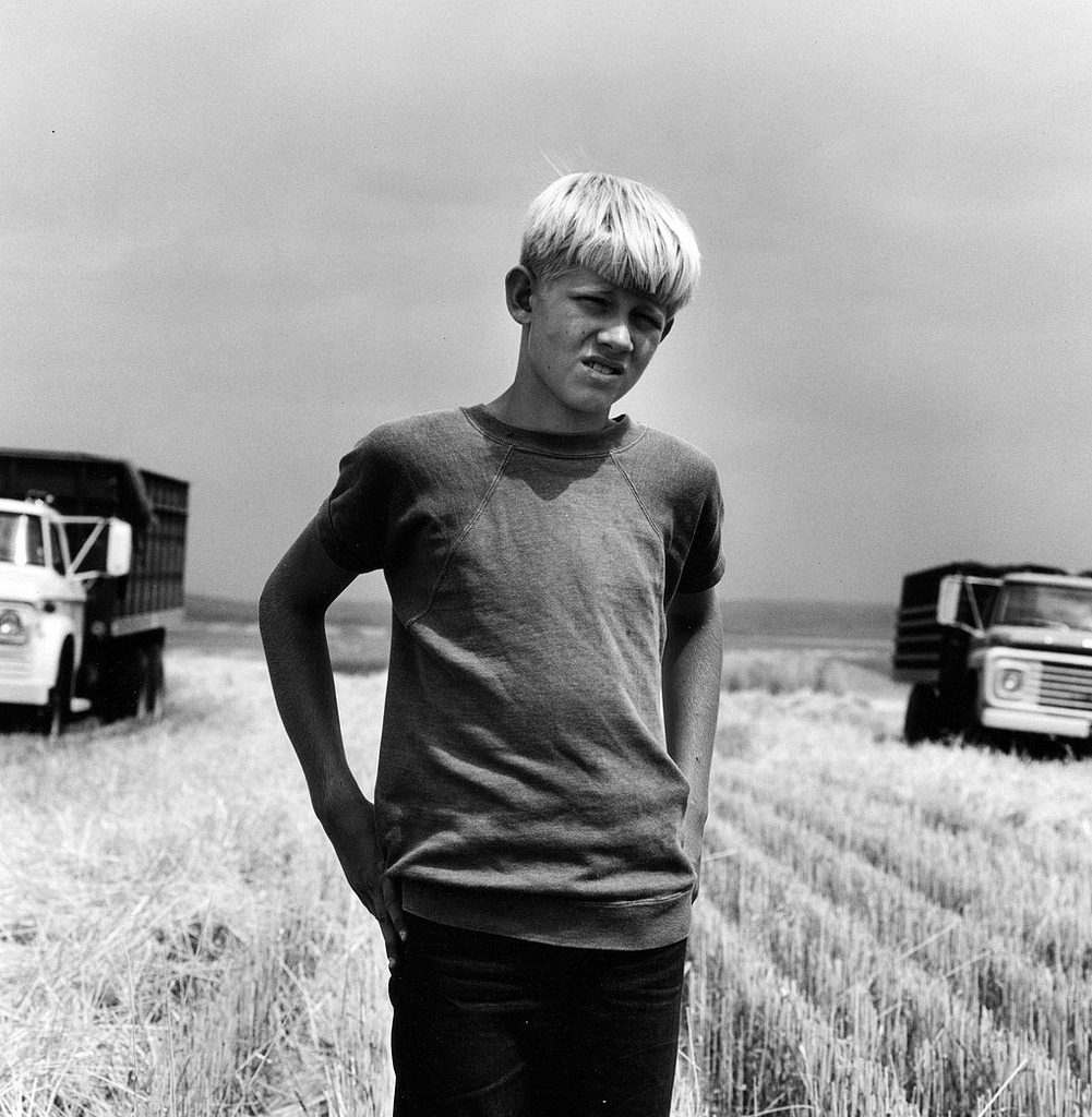 real life is elsewhere: david plowden