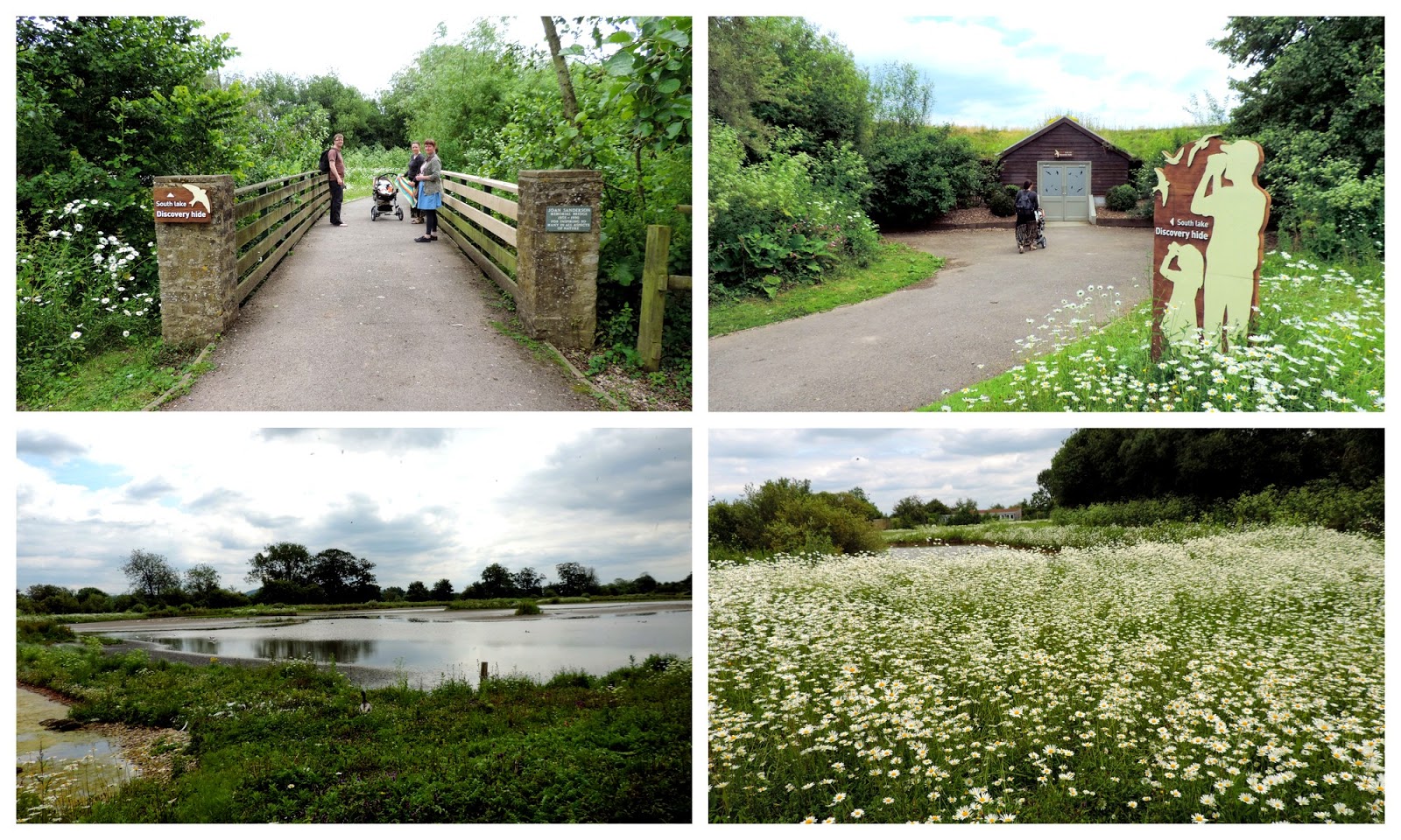 The Glebe Blog: Slimbridge Wetland Centre