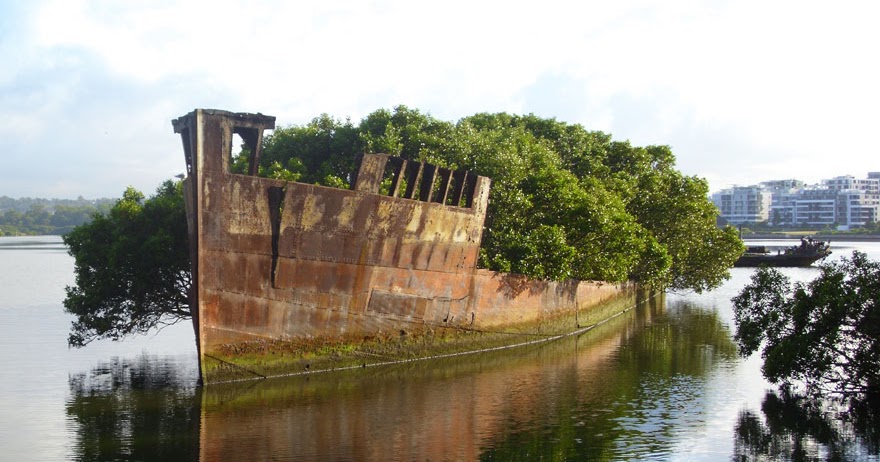 Life Finds A Way: 25 Plants That Just Won't Give Up