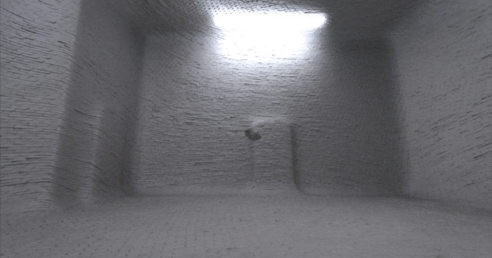 Deanna Crisbacher : Major Project: Static Animation Update