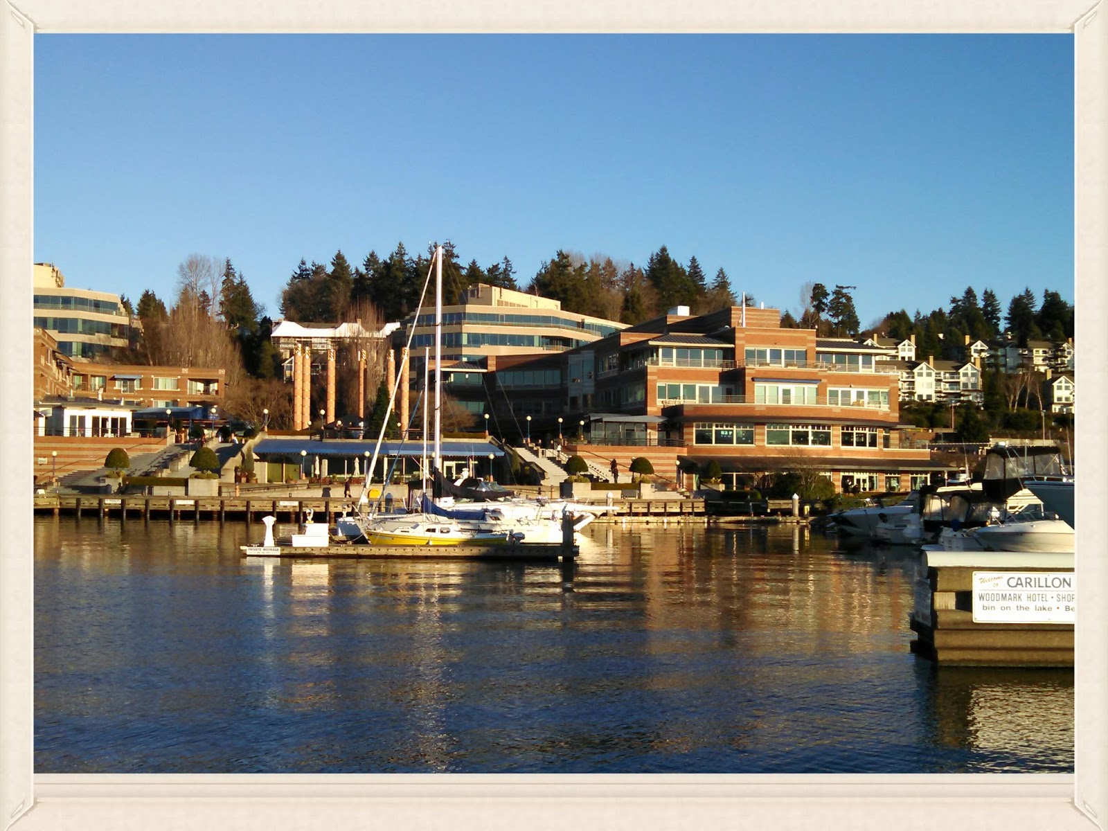 Through My Camera Lens: Carillon Point Marina, Kirkland, Washington