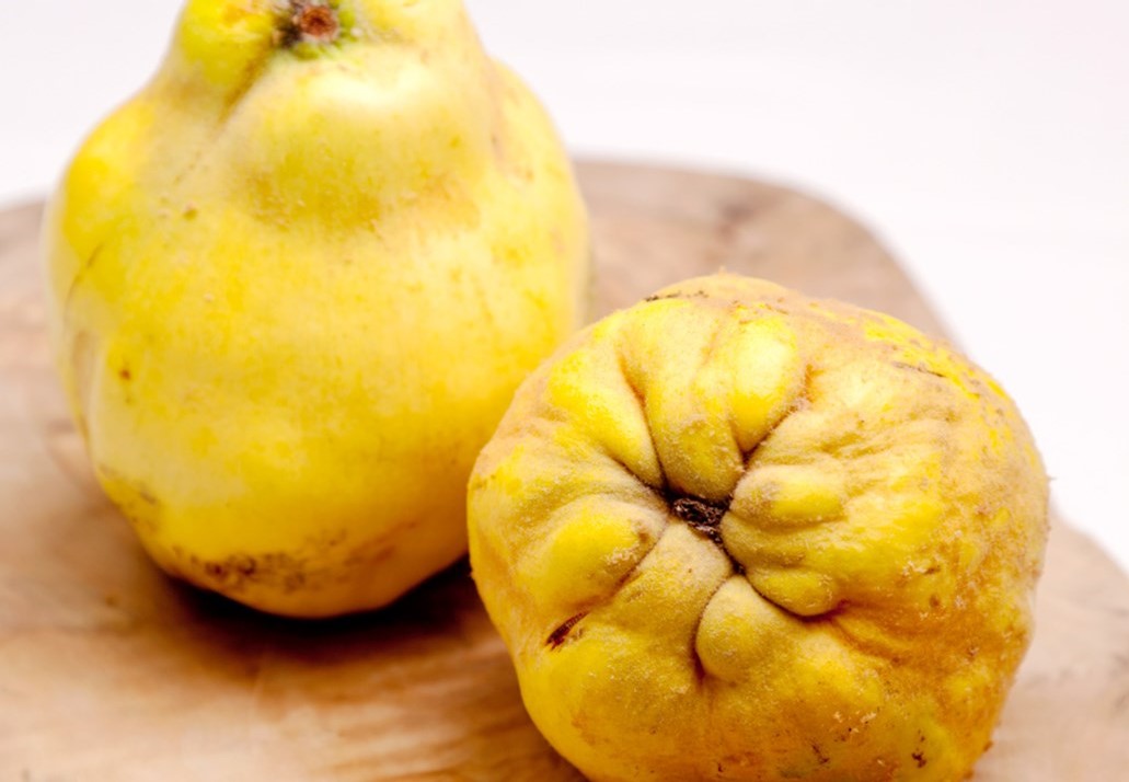 Maryam's Culinary Wonders: 1201. Turkish Quince Dessert