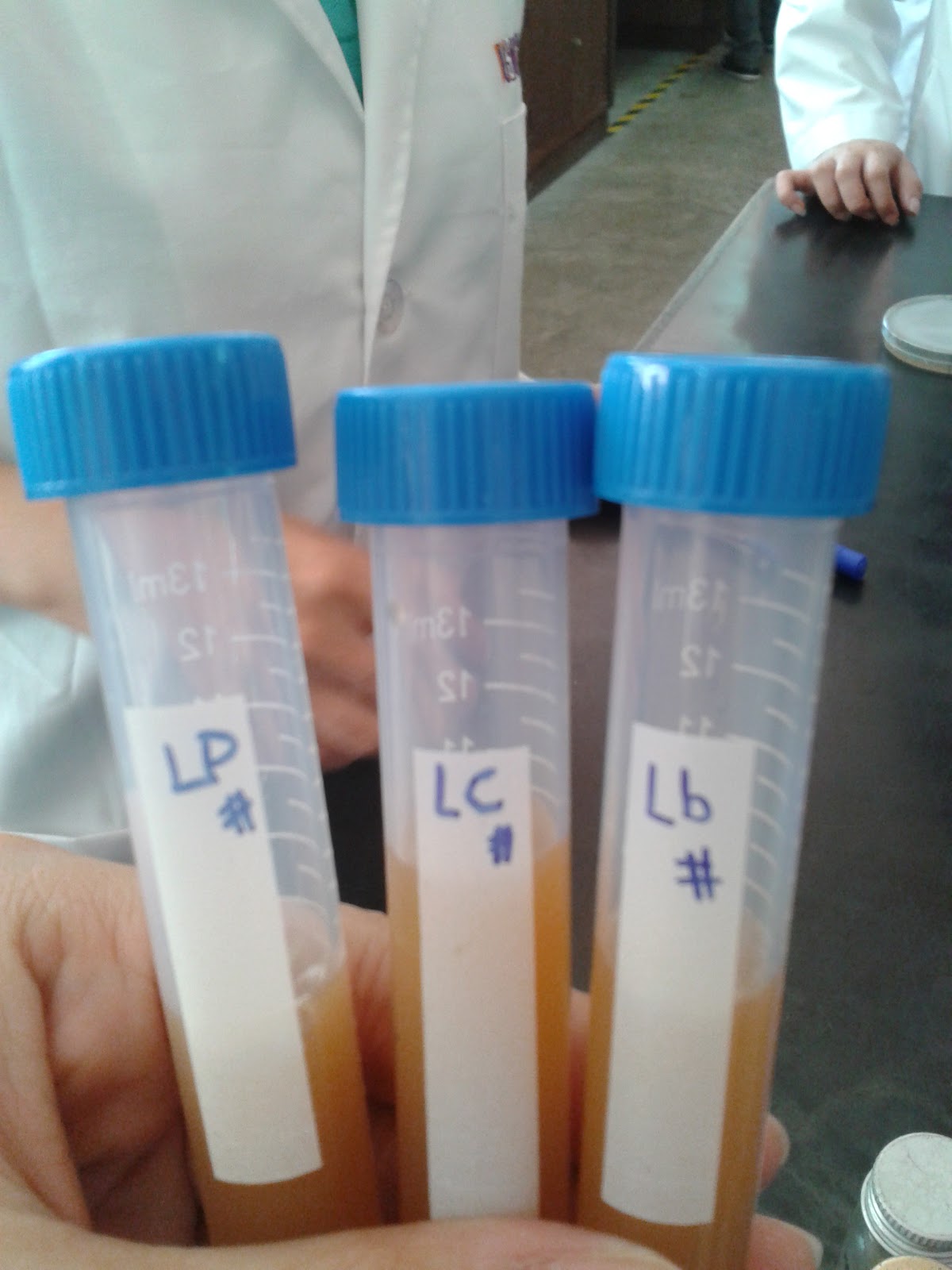 IBG 102 lab report: LAB 5 : DETERMINATION OF ANTIMICROBIAL EFFECTS OF ...