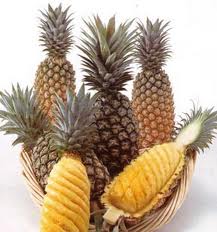 wanida: สับปะรดที่ปลูกในประเทศไทยแบ่งออกได้เป็น 5 พันนธุ์