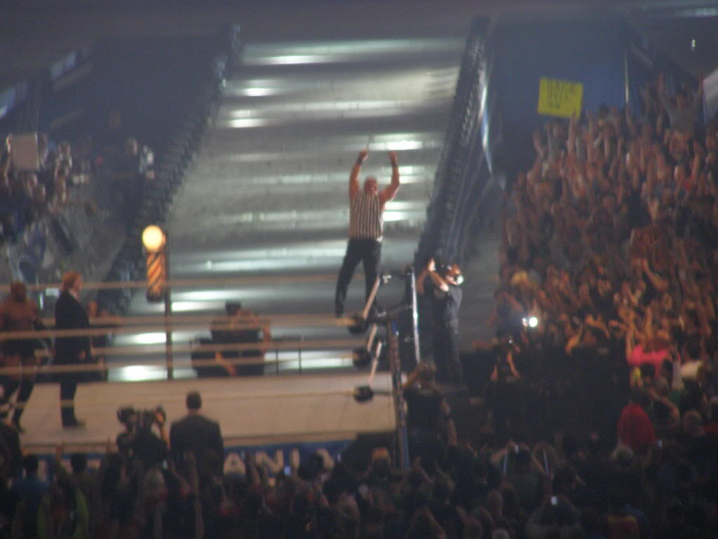 WORLD WRESTLING ENTERTAINMENT: American Professional Wrestler