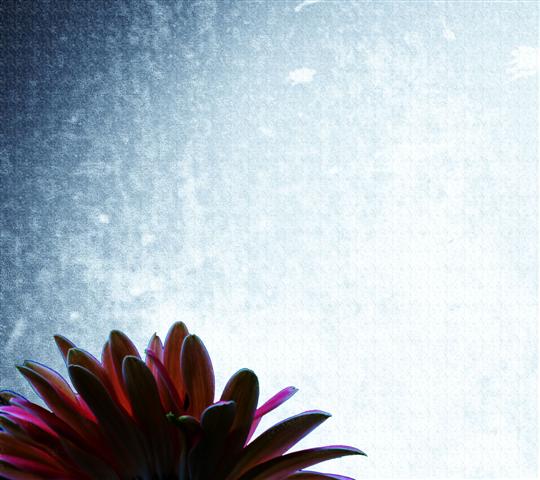 30 FREE Blogger Backgrounds | ibjennyjenny Free Resources