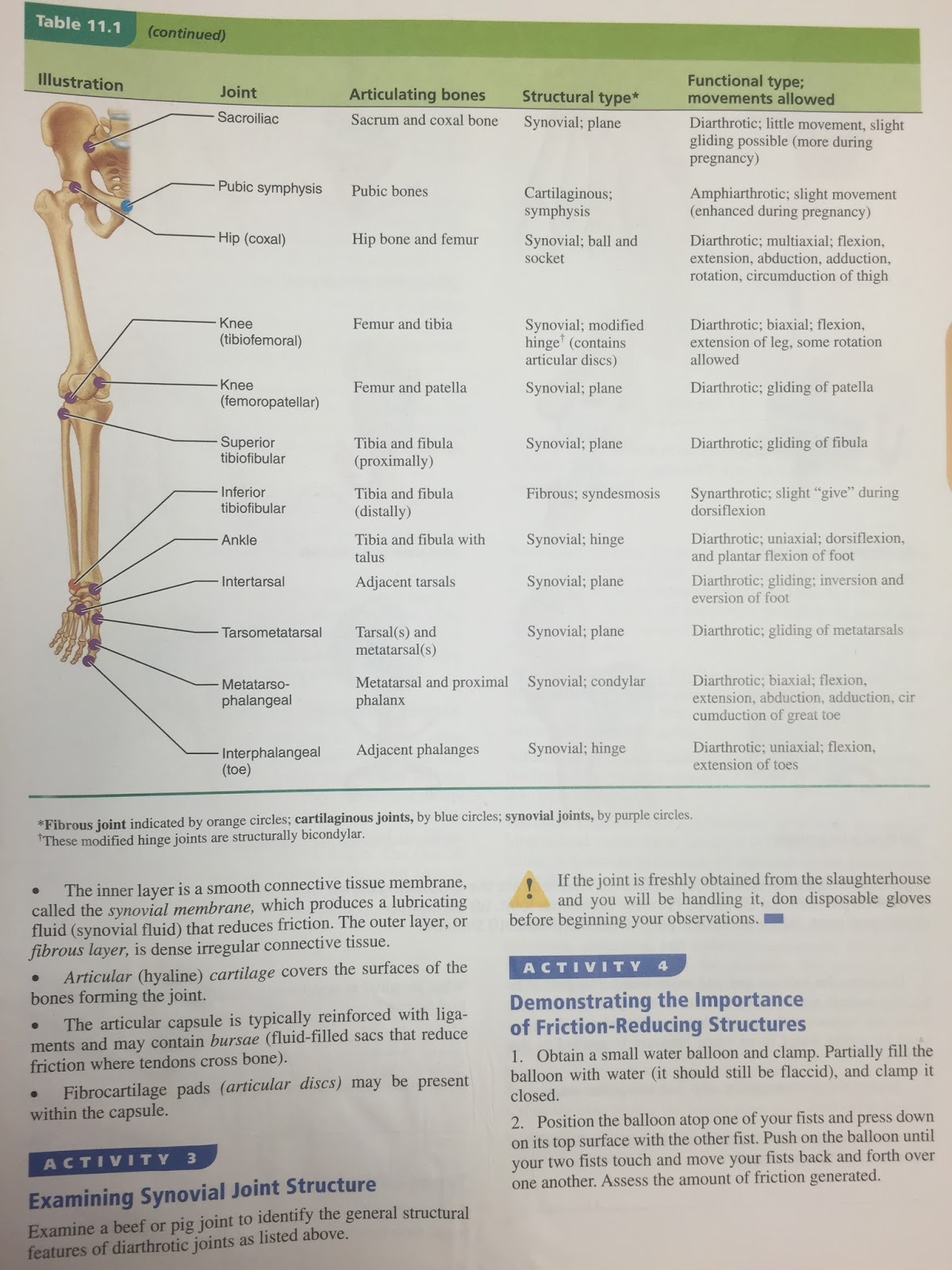 Anatomy and Physiology: Unit 2