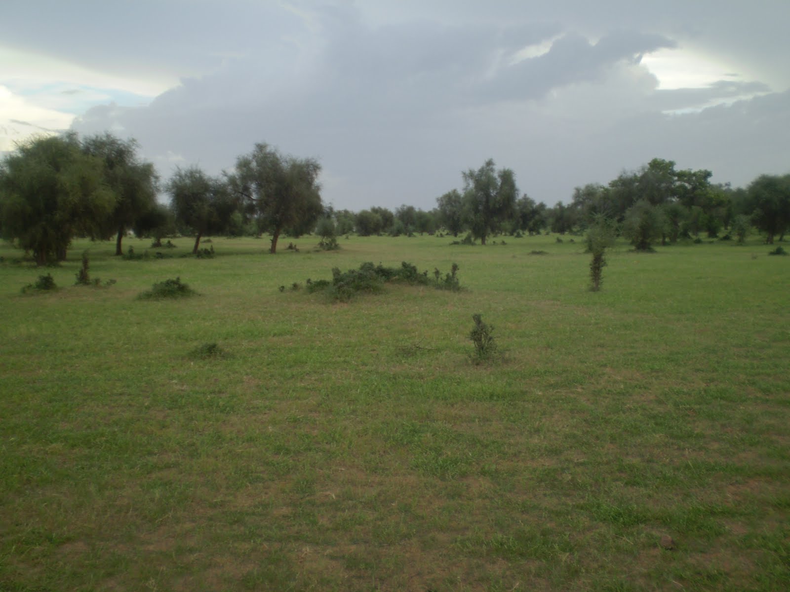 Monguel مونكل: مناظر طبيعية من مقاطعة مونكل