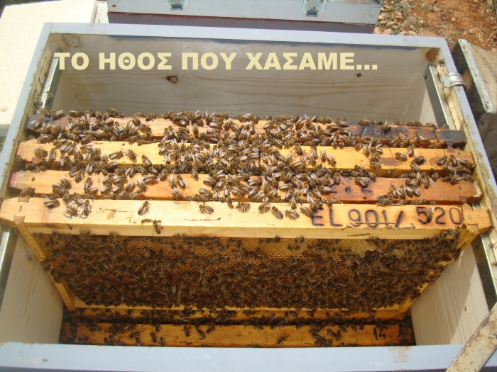 TΟ ΗΘΟΣ ΠΟΥ ΧΑΣΑΜΕ...: Καλημέρα και σήμερα...
