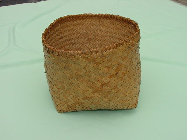 Cats City Hornbill Land: THE KADAYAN.....