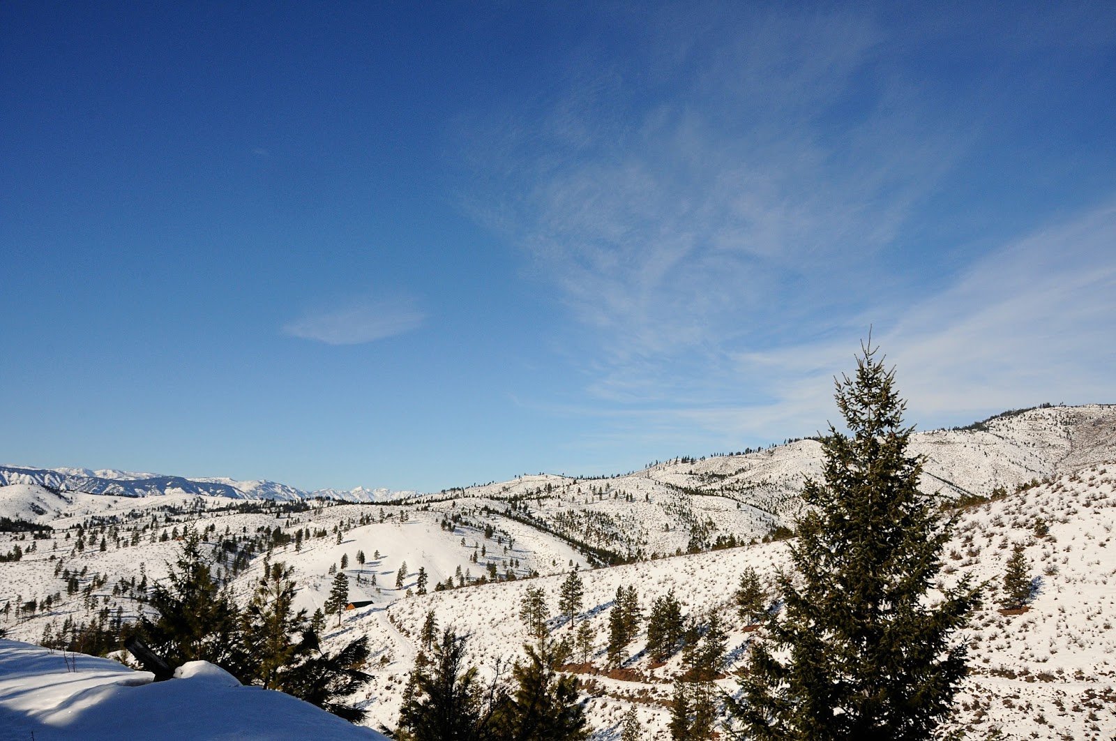 Echo Ridge Trails....The Shoe