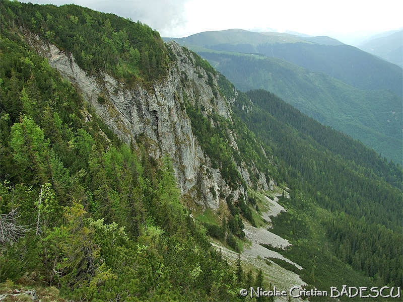 Itinerarii montane și argumentaţii cotidiene : Tarnovul Capatanii, o ...