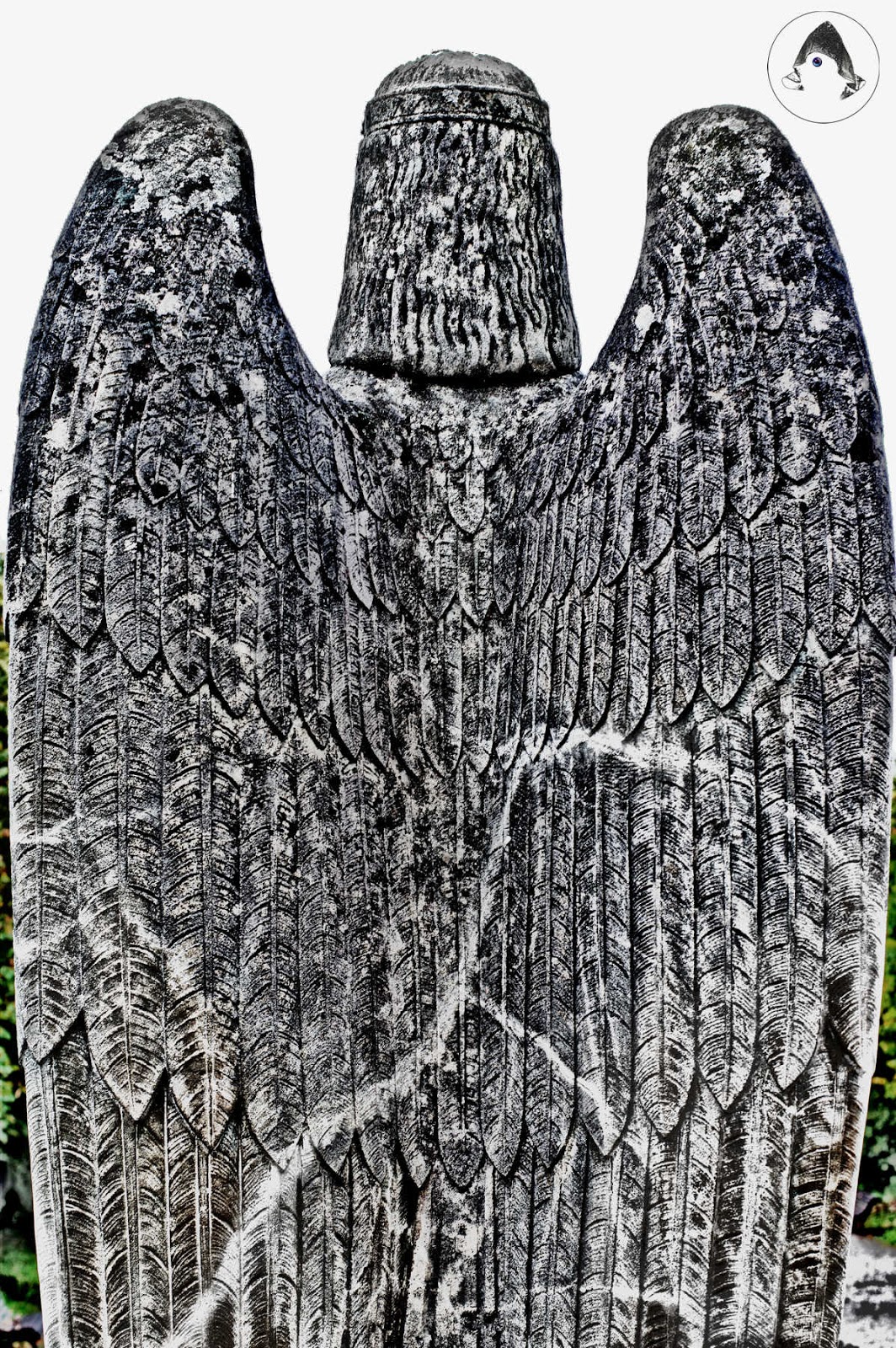 Heremita Monoculus: Art Nouveau