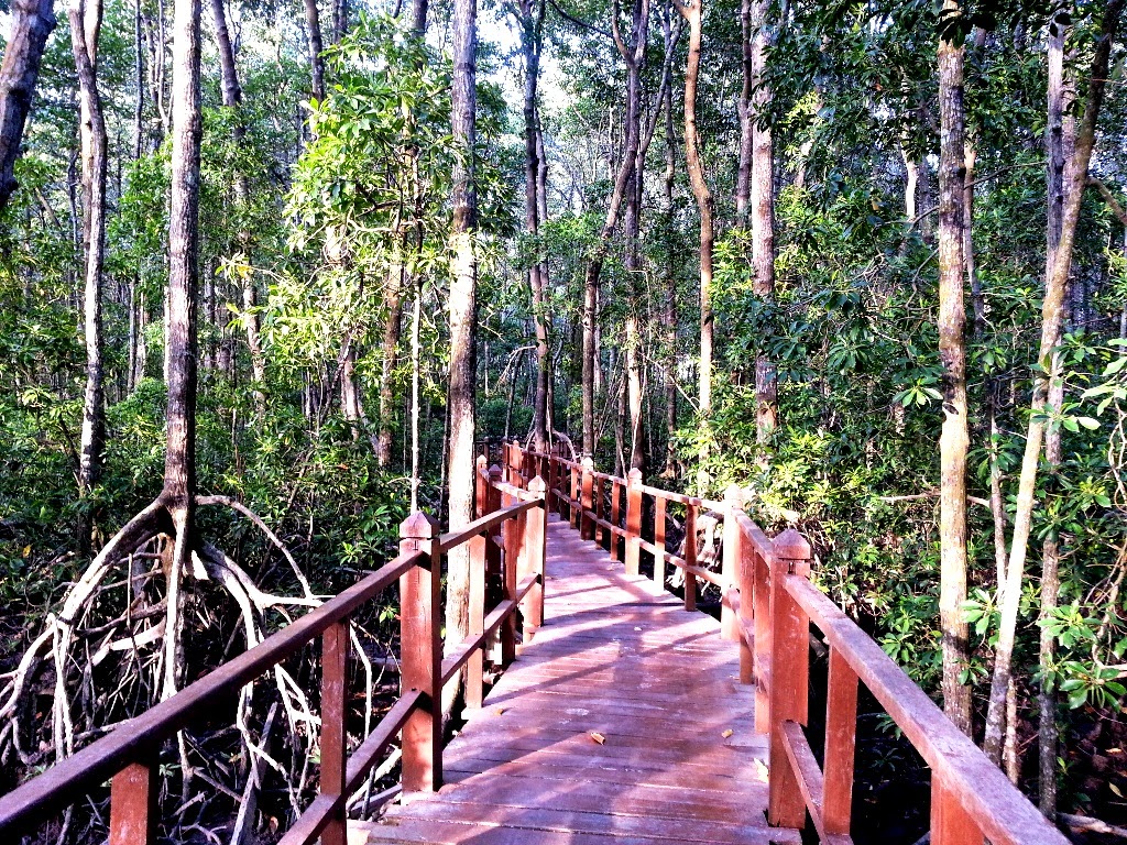 MPV LANDSKAP DAN NURSERI: TAMAN NEGARA TANJUNG PIAI, JOHOR PENGHUJUNG ...