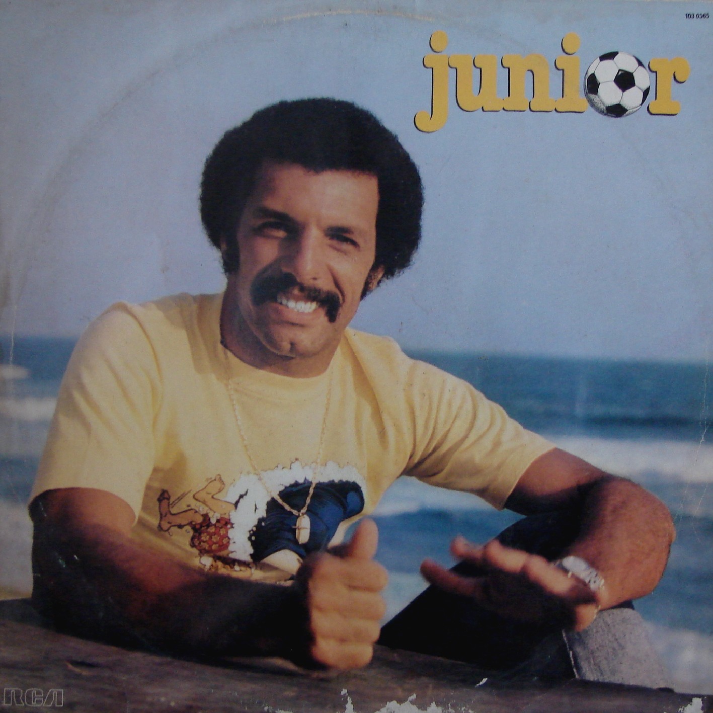 "Discos, Música e Informação": JÚNIOR - JUNIOR (1982 - RCA Victor)