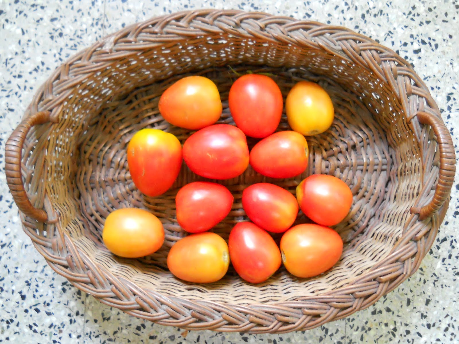 Red Ripe Tomatoes: Grow Your Own Rooftop Tomatoes: A Guide for the Novice