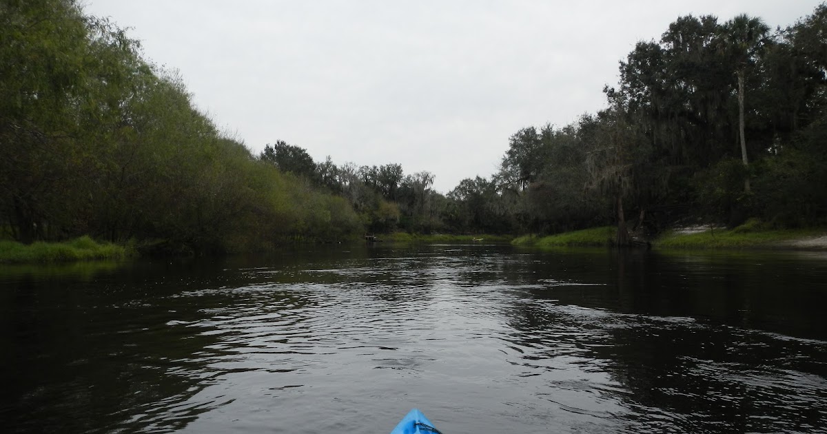 Kayaking the Peace River, Florida