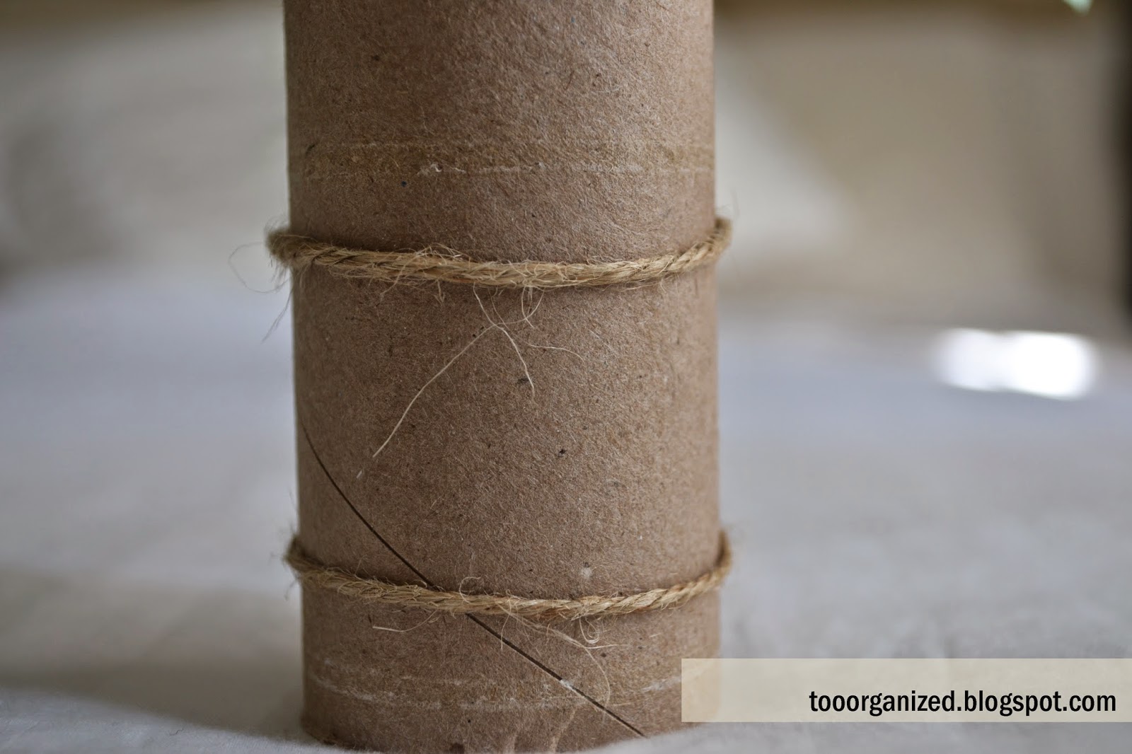 DIY PALM TREE | TOO ORGANIZED