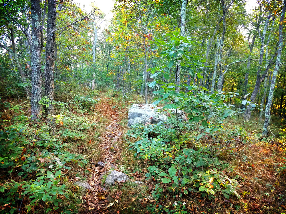 Hiking Trails in NJ and PA: Hiking the Appalachian Trail - Culver's Gap ...