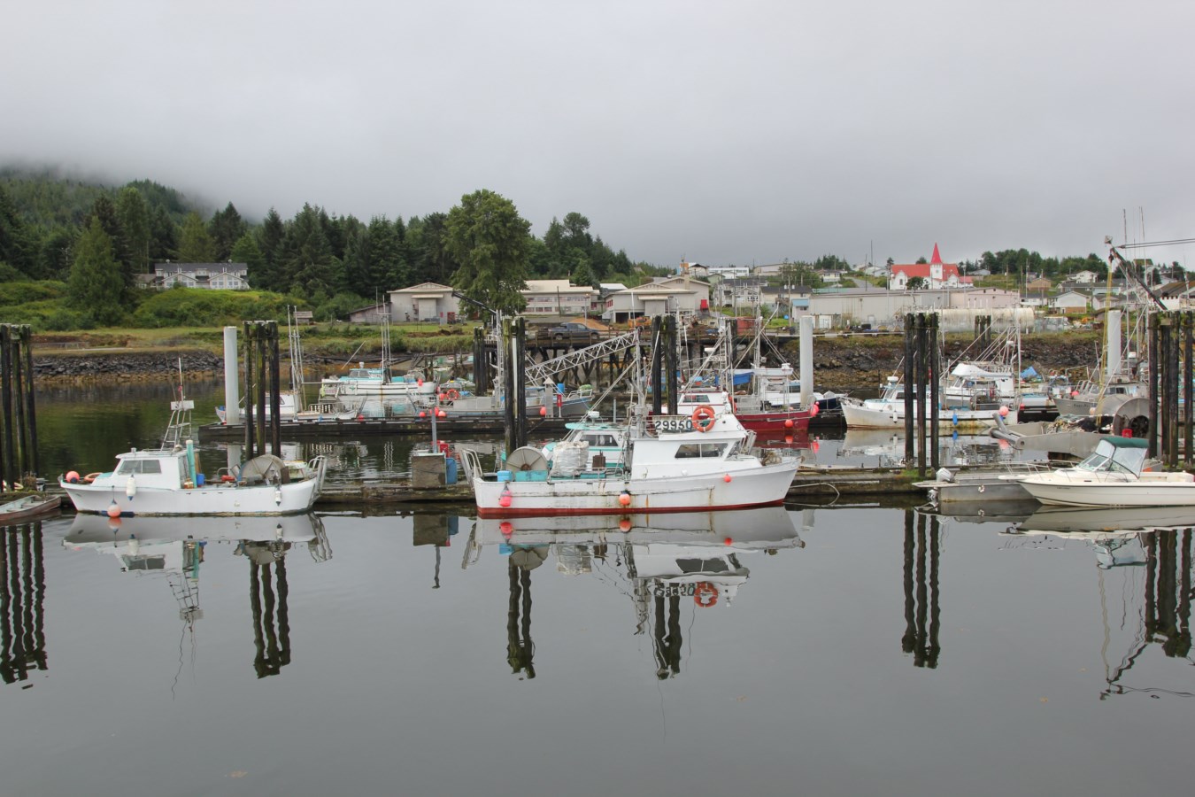 A testy bastard, at times.: Prince Rupert to Port Simpson