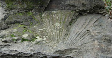 Salish Sea News and Weather: 6/15 Chuckanut rocks, lowest tide, bag ban ...