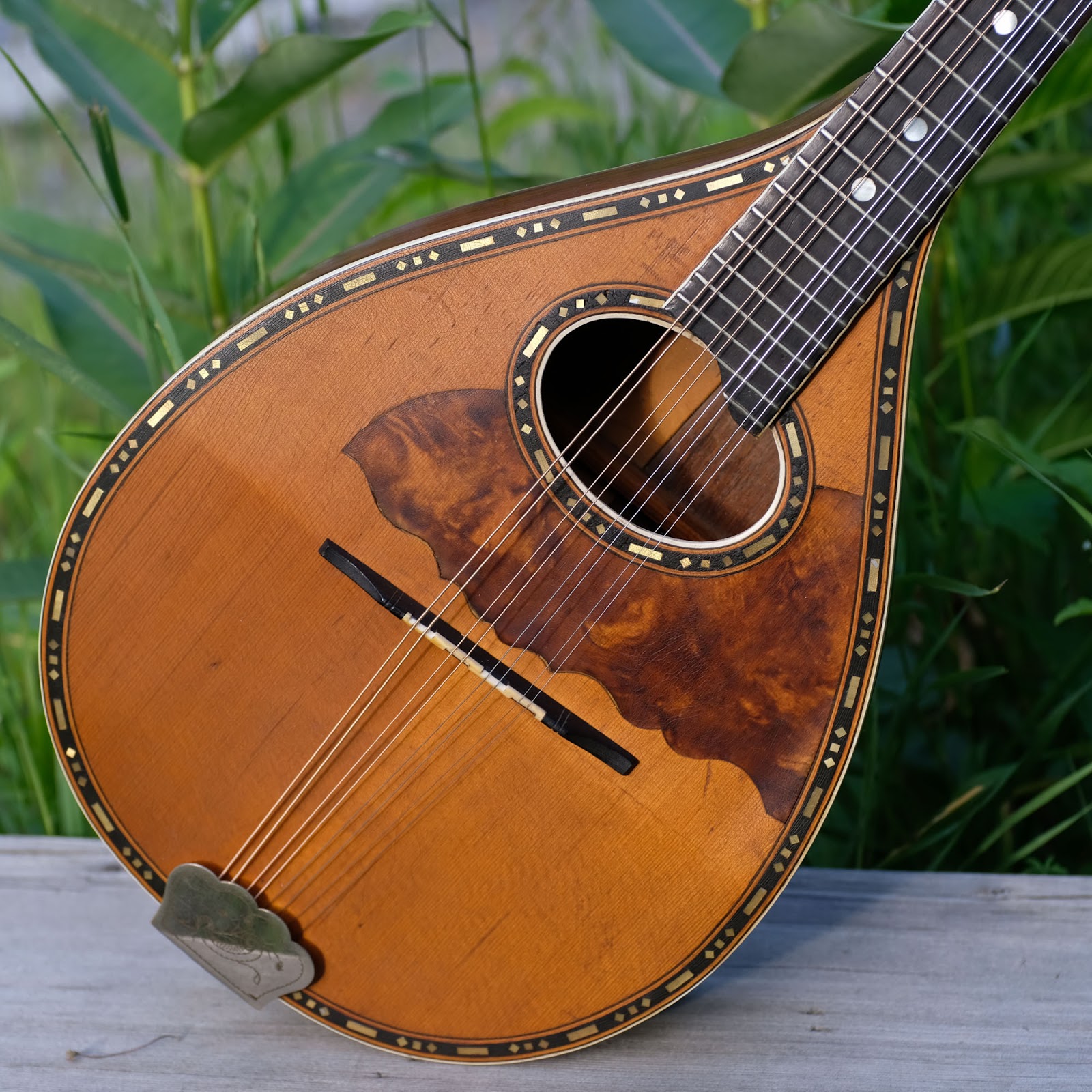 1910s Larson Brothers-made Fancy Flatback Mandolin