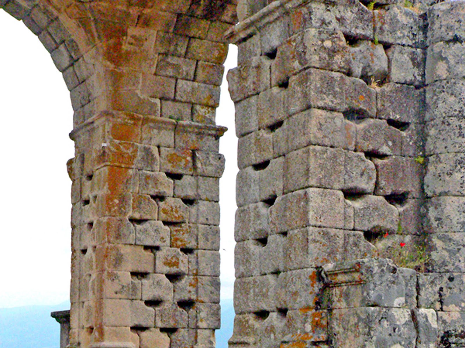 LUSISCOPIA: Cáparra