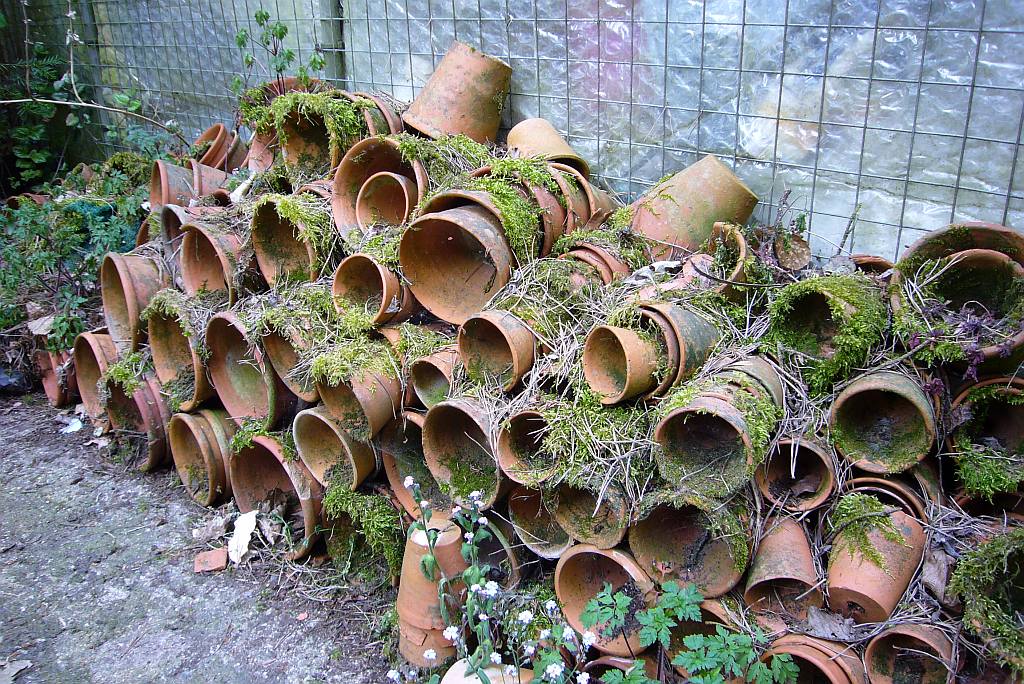 Spiky obsession: The perfect plant pot