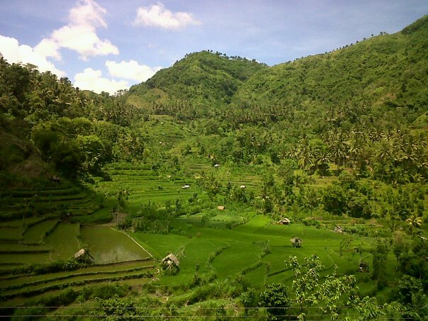 TRAVEL & ADVENTURE ADDICT: BERINA RICEFIELD TERRACE - KARANGASEM - BALI