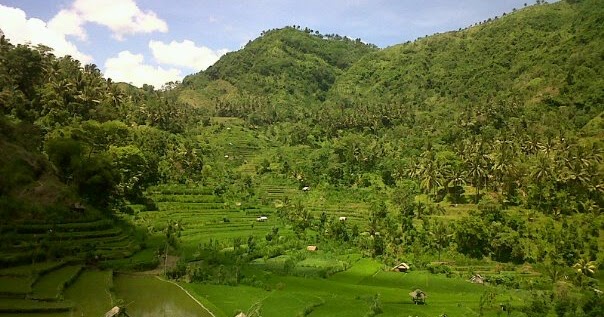 TRAVEL & ADVENTURE ADDICT: BERINA RICEFIELD TERRACE - KARANGASEM - BALI