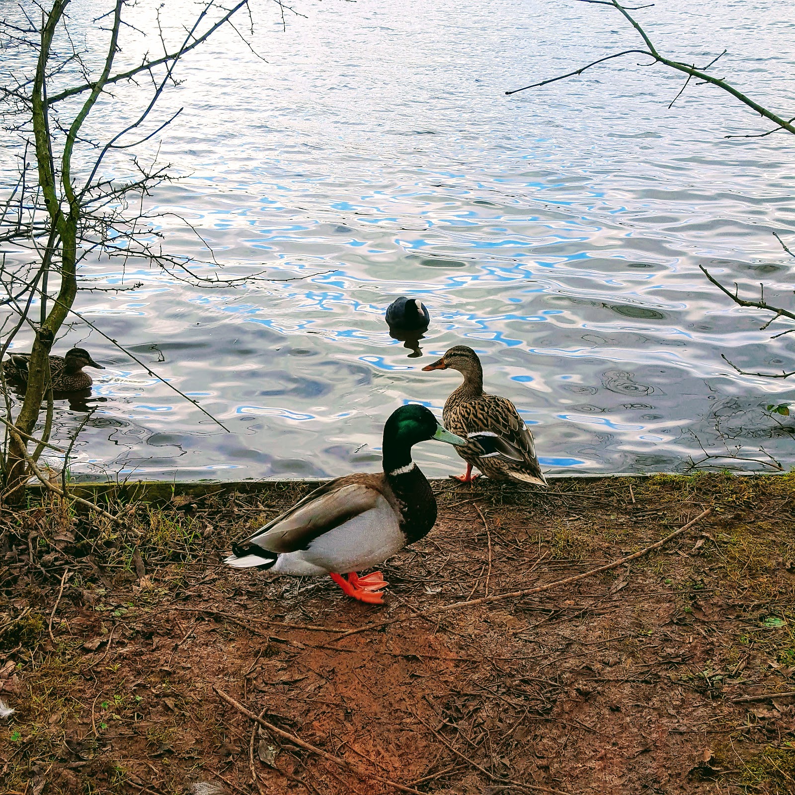 Nice Long Walk Around The Reservoir: What I Wore - Claire Justine