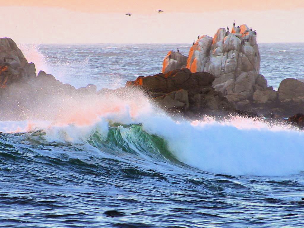 David Lobenberg: July 2011