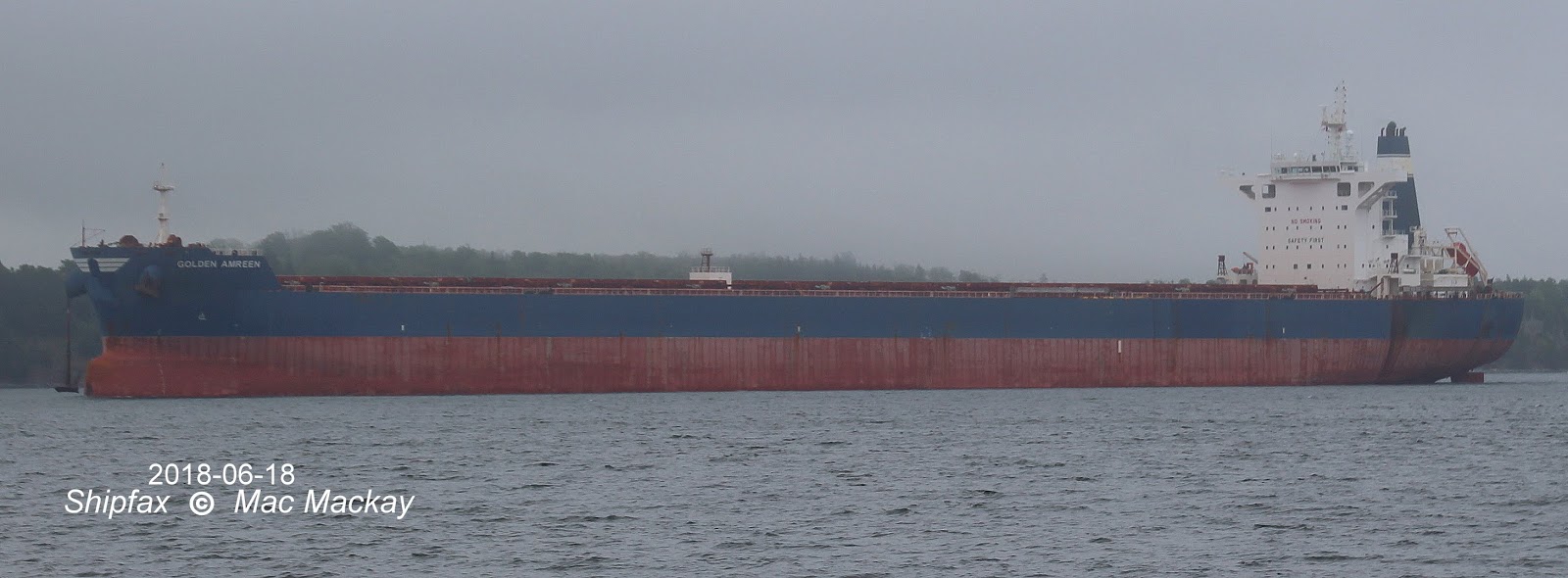 Shipfax: Big Bulker - Golden Amreen