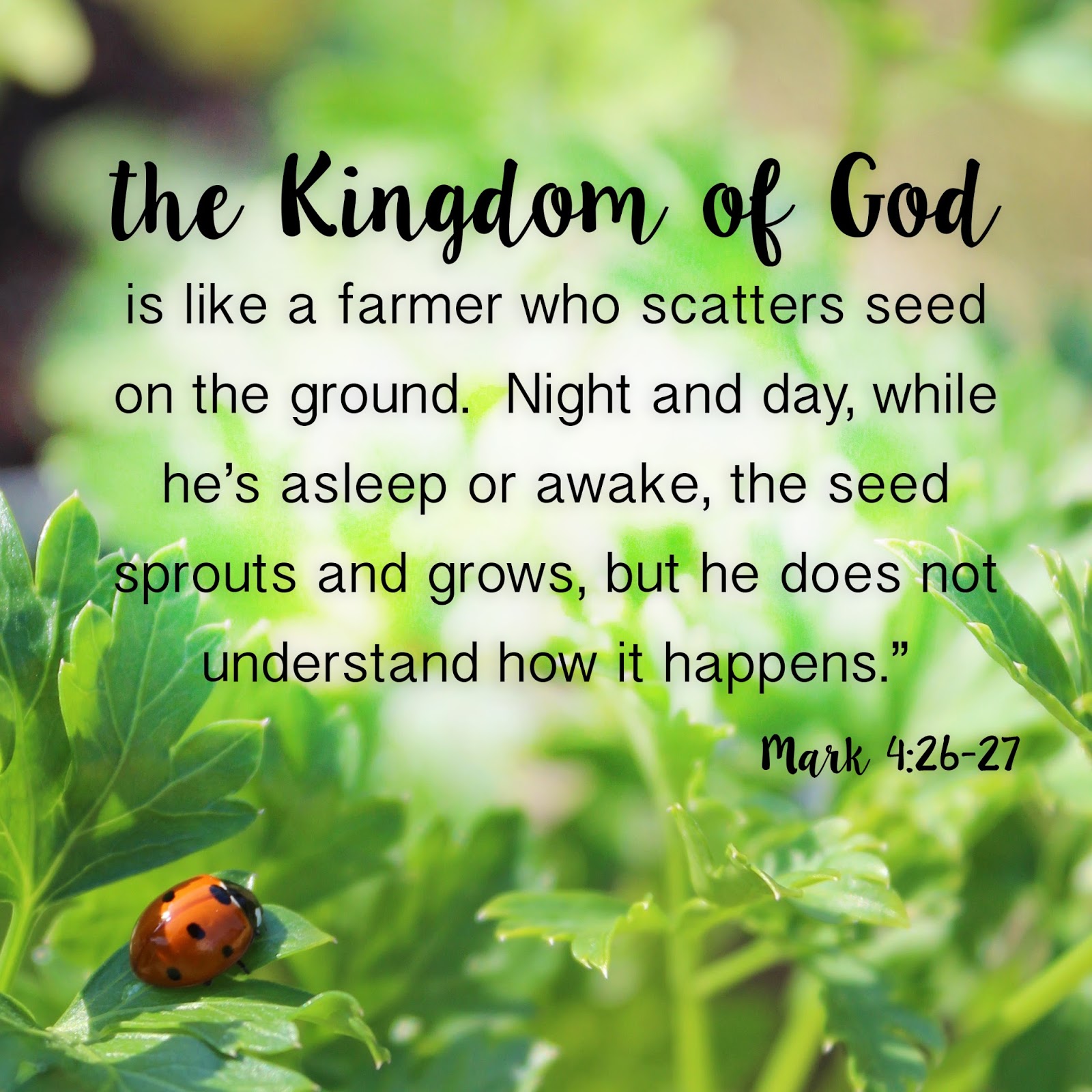JB-MDL PWOC Devotions: What Are You Planting?