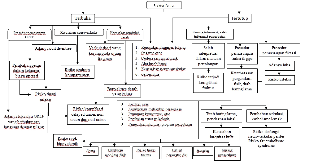 merahitam: pathway fraktur femur