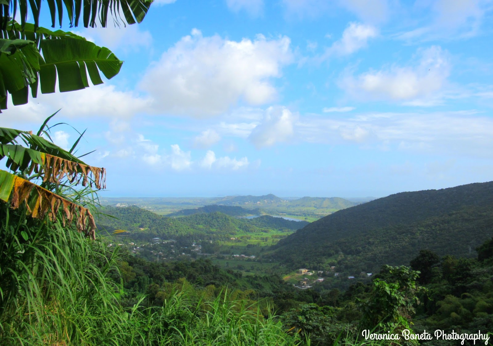 Turistiando Puerto Rico: Turistiando Naguabo