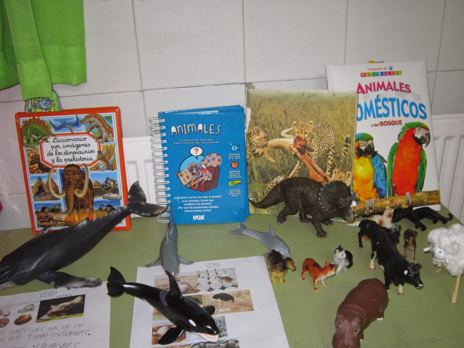 CEIP Aldebaran - Primer Ciclo -: PROYECTO DE LOS ANIMALES