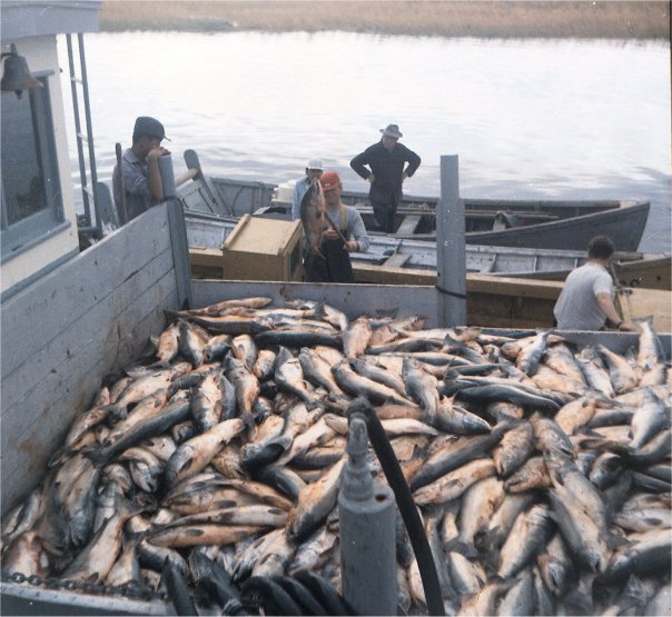 Sandra's Alaska Photography: Historic Yakutat Alaska