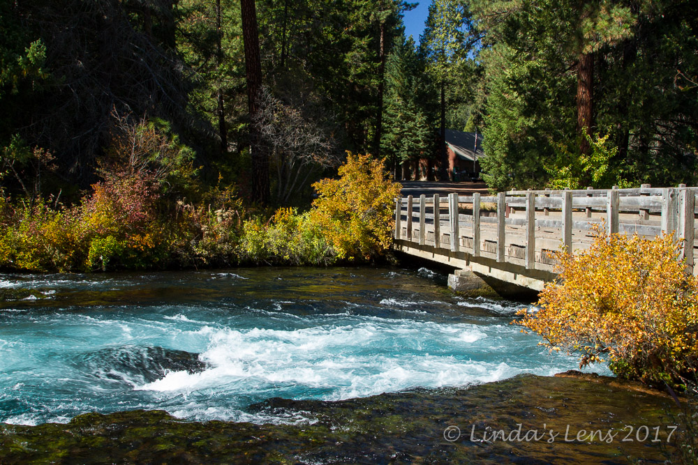 Linda's Lens: The Metolius River