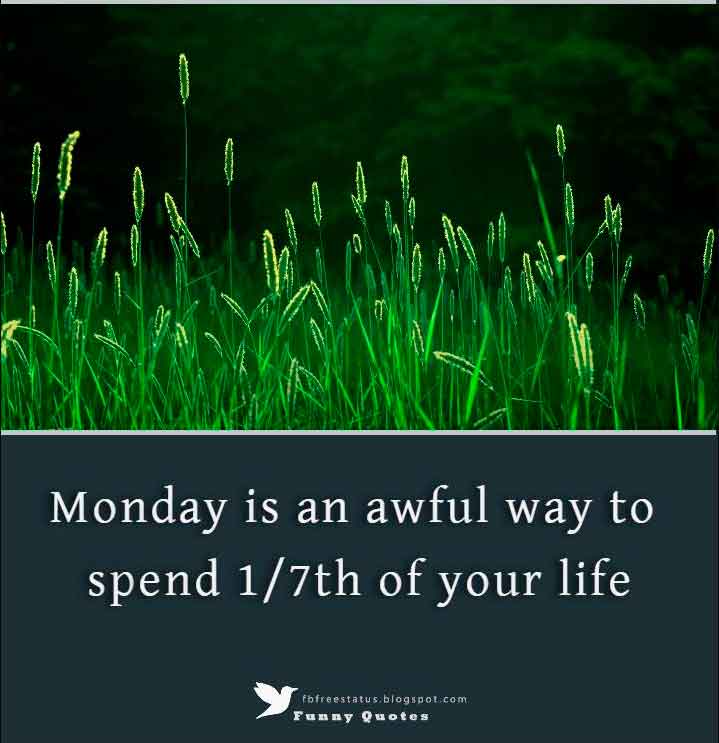 Motivational Monday Quotes Pictures to Boost Your Motivation