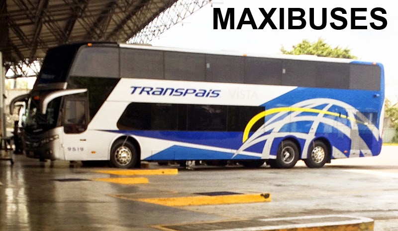 MAXIBUSES: TRANSPAÍS - VISTA