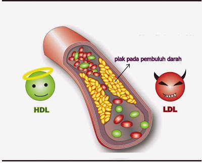 Halang Pembentukan Kolesterol Secara Semulajadi - Aafiat Life | PENGDAR ...