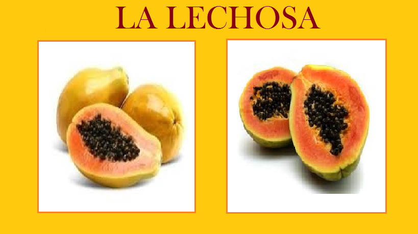 Develando la Salud: La lechosa o papaya