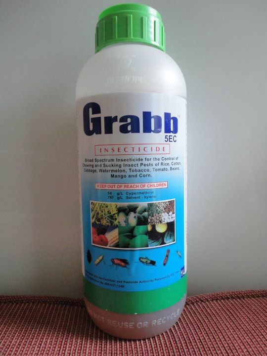 CCi Creation: Grabb Insecticide