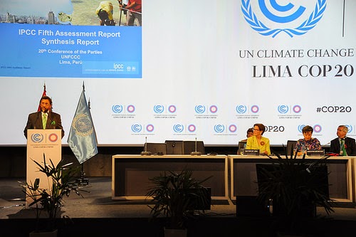 Climate Youth Japan @ Climate Negotiations: COP20、いよいよ閉幕！！！