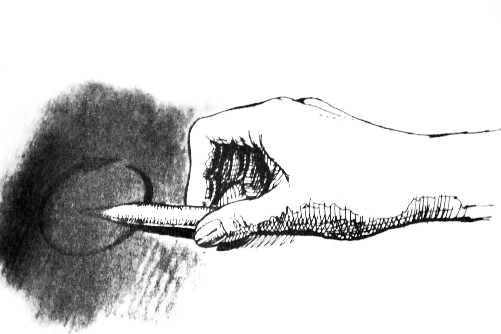 Curso de dibujo artístico: mayo 2012