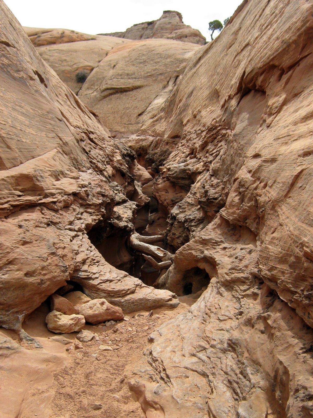 KanyonKris: Bluejohn Canyon Hike