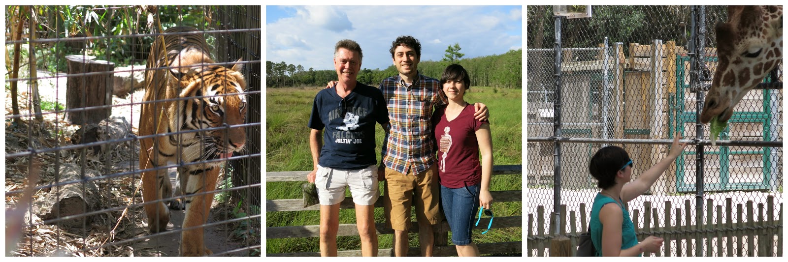 Nerd Craft Librarian: Little vaca....